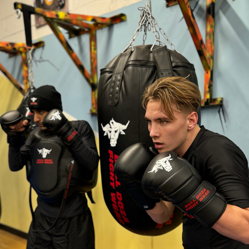 How to Choose the Right Boxing Gloves for Heavy Bag Training and Sparr ...
